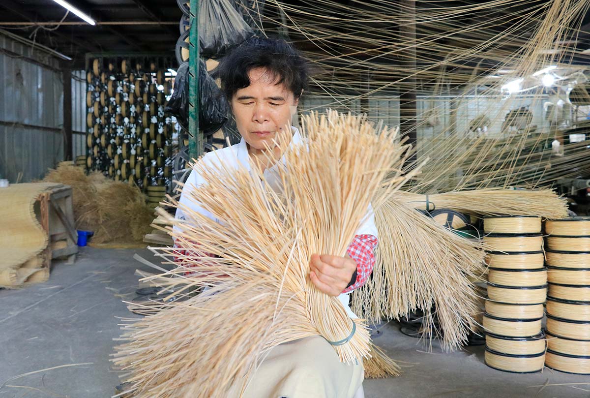 Buy Cane Webbing; Rattan Cane Webbing Roll Supplier | LTR